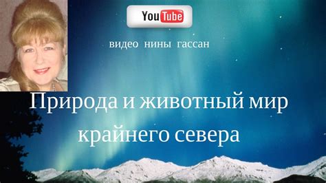 Природа и животный мир крайнего севера Youtube