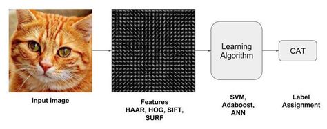 Image Recognition And Object Detection Part 1 Learnopencv