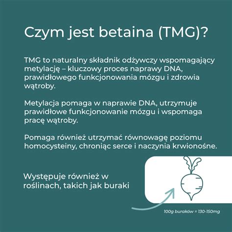 Tmg Trimetyloglicyna Działanie I Jak Stosować Naturecan Pl