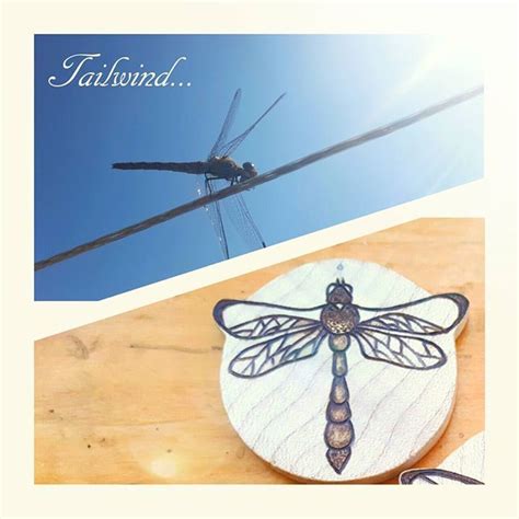 Какво ни кацна на тераската за попътен вятър