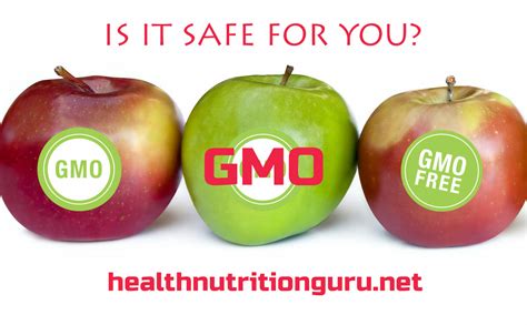 Is Gmo Safe For You The Research And Implications By Ilya Shirshov Medium
