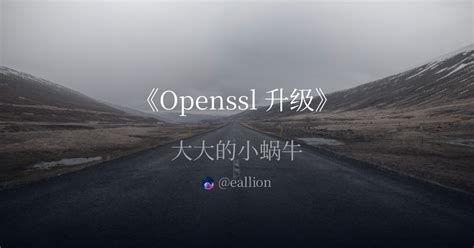 Openssl 升级 · 大大的小蜗牛