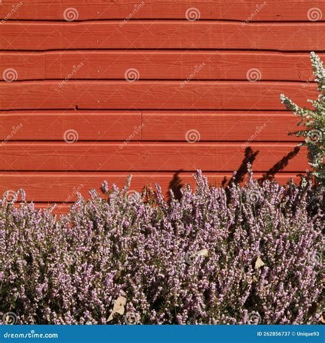 Brown Wood Composite Exterior Cladding Of A Building Stock Image