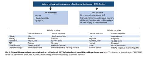 Hbv Dna Quantitative Shop Online