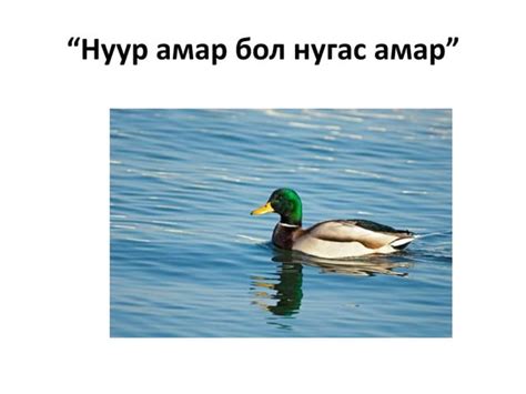 Багшийн ёс зүй харилцаа Pptx