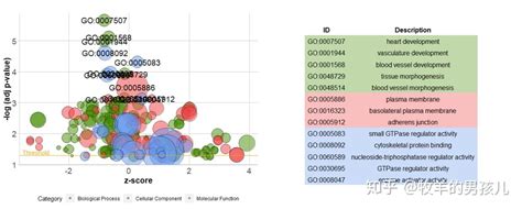 Go富集分析可视化：r语言goplot包 知乎