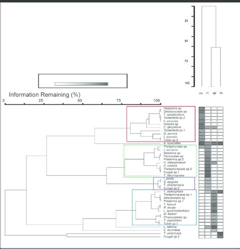 Two Way Cluster Analysis 005 Showing Groups Of Species Thriving Download Scientific