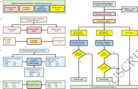 Study Design A The Diagnostic Program Consisted Of Four Parts 1 A