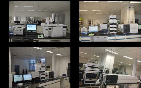 Instrumental Composition Of The Metabolomics Platform Based On Download Scientific Diagram