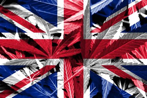 The Cannabis College Uk