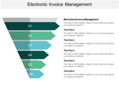 Electronic Invoice Management Ppt Powerpoint Presentation Infographic