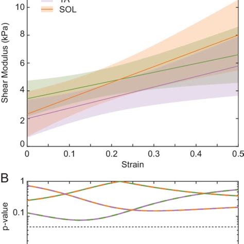 Shear Modulus Did Not Differ With Muscle Architecture A Shear Modulus Download Scientific