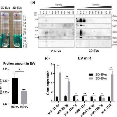 protein and mirna contents in evs are altered by 3d dynamic culture