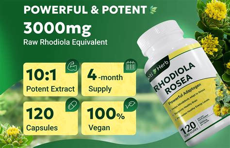 Amazon Listing A Content Rhodiola Rosea Supplement Behance