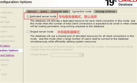 Oracle19c数据库安装 基于linux环境linux离线安装oracle19c步骤详细 Csdn博客
