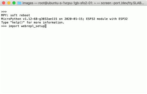 How To Setup Micropython Webrepl On Your Esp32 Development Board