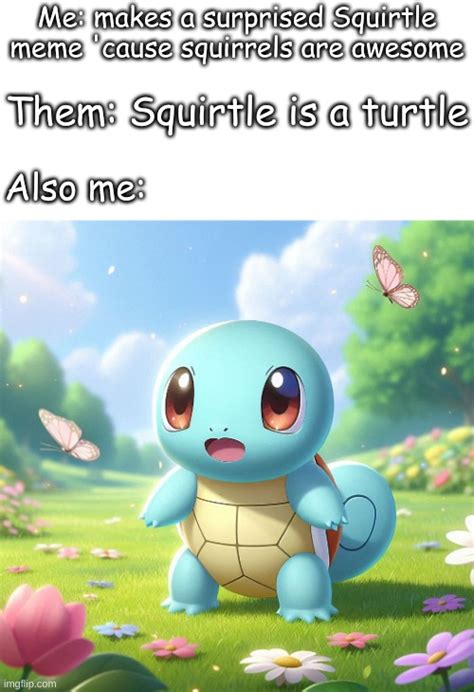Surprised Squirtle Imgflip