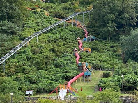 需要曲線と供給曲線の交点は市場価値ないし均衡点と定義されるを知ります 工藤先生ブログを杖と松明として己が医学・医療・医業の生成発展を図るブログ