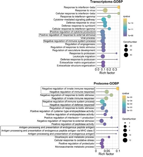 Single Cell Pathway Analysis Service Mtoz Biolabs