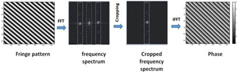 Principle Of The Phase Recovery Via Fourier Transform Method Download Scientific Diagram
