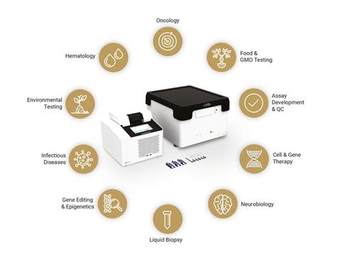 QPCR According To MIQE Standards