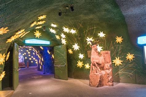 스위스여행 겨울 융프라우 가는 방법 티켓가격 Feat 인터라켄 그린델발트 출발 네이버 블로그