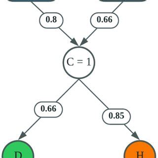 Activity C Input And Output Values Download Scientific Diagram