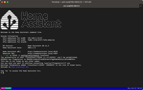 Get Root Ssh Access To The Home Assistant Root System Remotely No Usb
