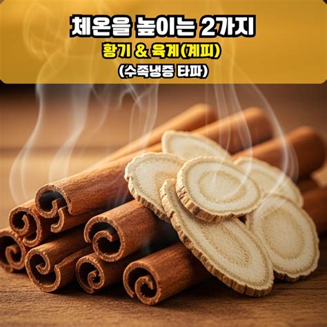 십전대보탕 재료 10가지 비율 And 끓이는 법 약탕기 없이 집에서 만들기 가격 비교 네이버 블로그