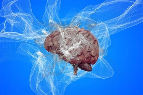 Brain Decline Comes Later Than Previously Thought Neuroscience News