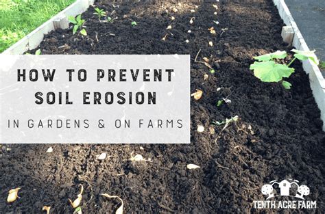 How To Prevent Soil Erosion In Gardens And On Farms Tenth Acre Farm