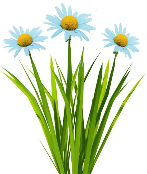 Free Grass Texture Unity Amberdads