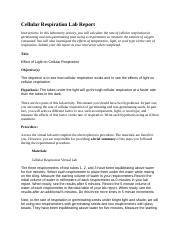 03 05 Cellular Respiration Lab Report 2 Docx Cellular Respiration Lab Report Instructions In