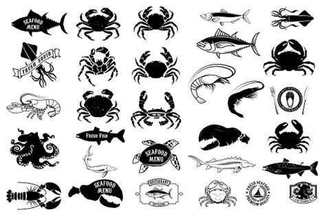 해산물 메뉴 라벨 세트입니다 라벨 엠블럼 간판 브랜드 마크 레스토랑 메뉴 포스터의 디자인 요소 벡터 일러스트 레이 션입니다 농어