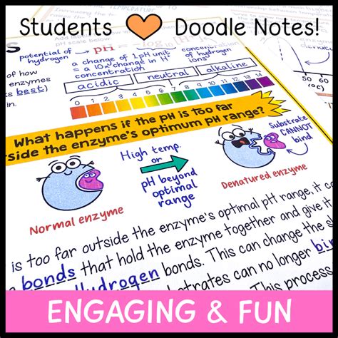 Enzymes Guided Notes At John Layh Blog
