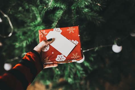 크리스마스 선물 상자 크리스마스 트리 아래에서 퍼 팅 하는 여자의 근접 촬영 갈색 머리에 대한 스톡 사진 및 기타 이미지 갈색 머리 계절 공휴일 Istock