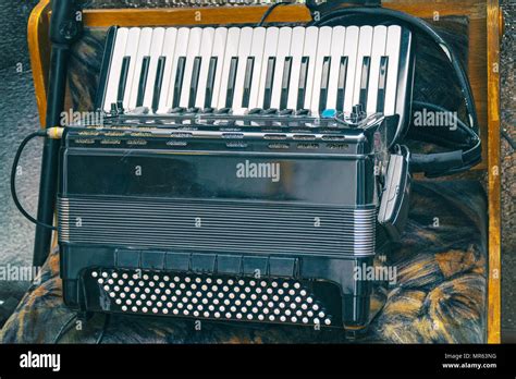 Electric Accordion On A Natural Background Accordion Synthesizer Stock
