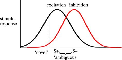 Stimulus Response Diagram