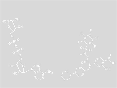 Opportunities Pagelab