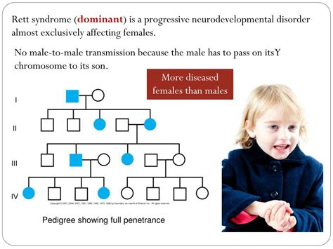 Ppt Chromosomes And Sex Chromosomes Inheritance Powerpoint Ppt Chromosomes And Sex Chromosomes Inheritance Powerpoint