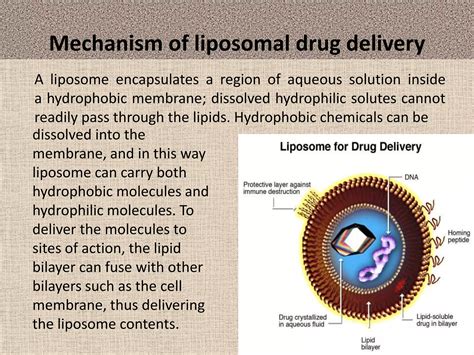 Liposomal Drug Delivery System Pptx