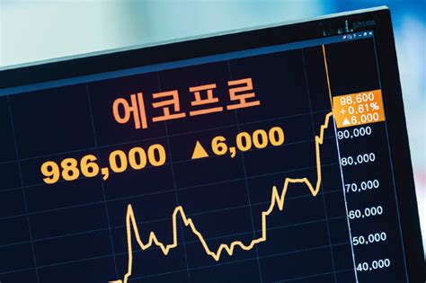 기사 인쇄｜주간동아