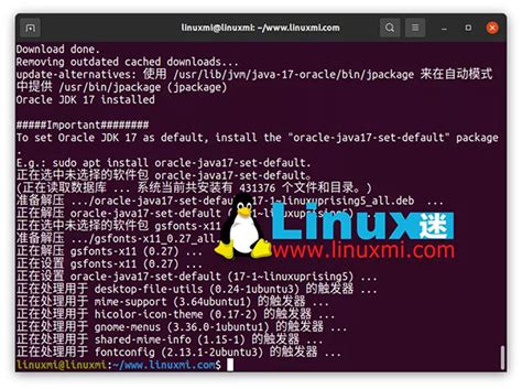 在 Ubuntu Linux 中安装 Java 17 Lts Ubuntu 安装 Java