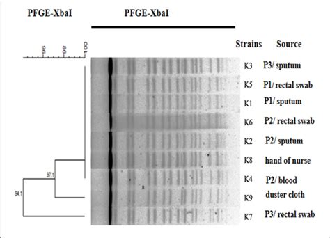 Dendrogram Analysis Dendrogram Generated Using The Fingerprinting Ii Dendrogram Analysis Dendrogram Generated Using The Fingerprinting Ii
