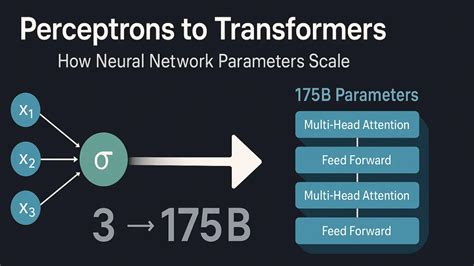 Perceptrons To Transformers How Neural Network Parameters Scale