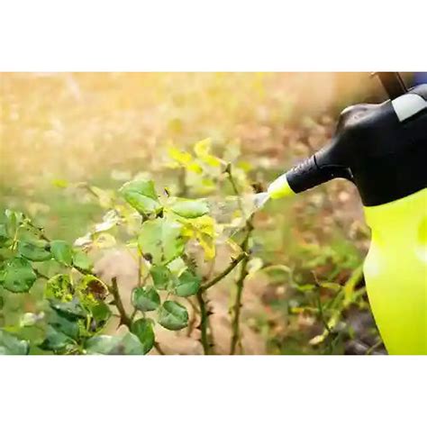 Liquid Grade Agriculture Fungicide Application Commercial At Best