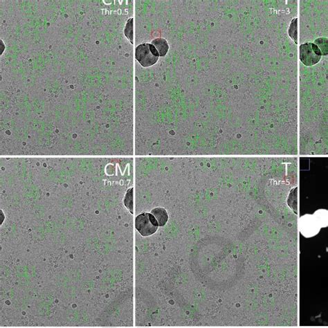 micrographcleaner improves particle picking on empiar 10265 dataset