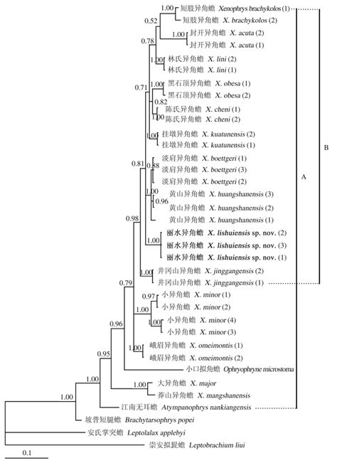 Bayesian Inference Tree Based On S RRNA Sequences Of Bp Dataset Download Scientific