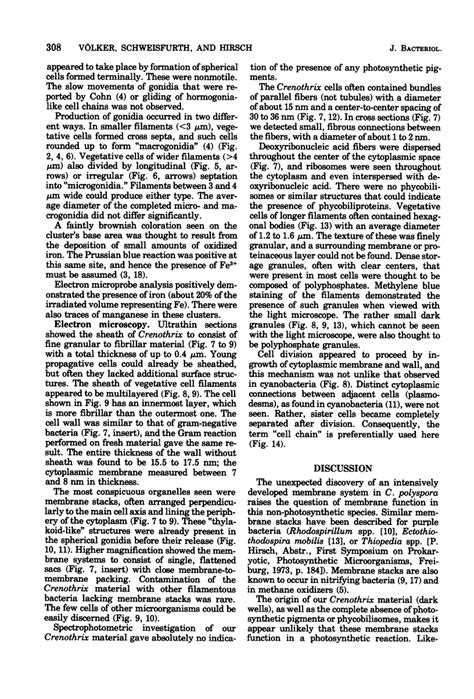 Morphology And Ultrastructure Of Crenothrix Polyspora Cohn Pmc