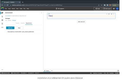Comment Travailler Avec Git Dans Datalore